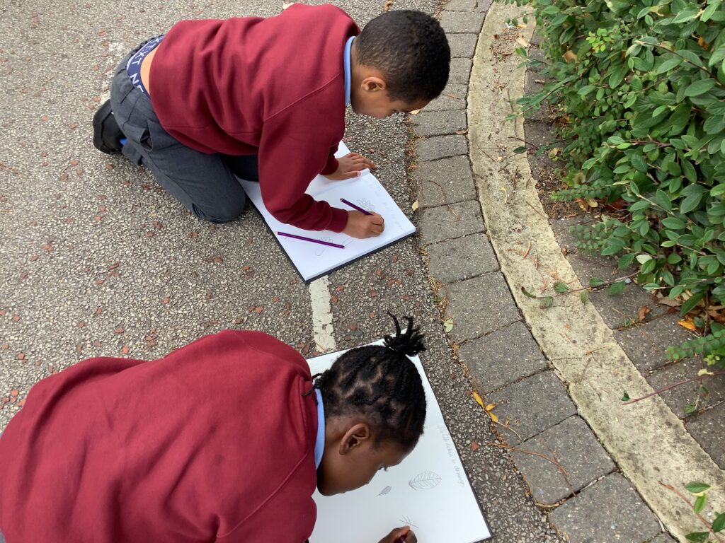 Observational Drawing in Year 3 – Corpus Christi Catholic Primary ...